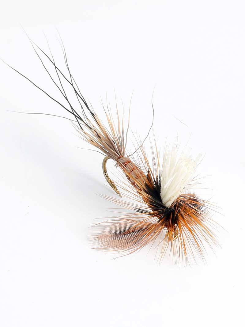 Mad River Outfitters: Fishing Reports- 6/1/18