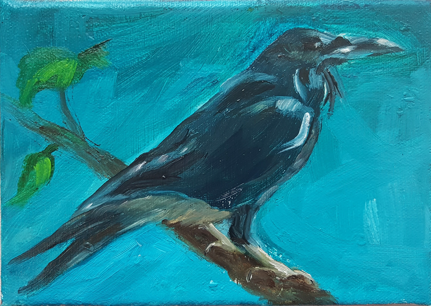 Daily Painters Abstract Gallery: "Raven at Rest" Original small Raven ...