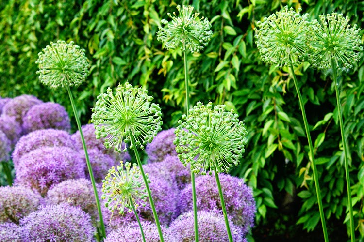 Wade Oval Photography and Surrounding Areas | Art Loves Company