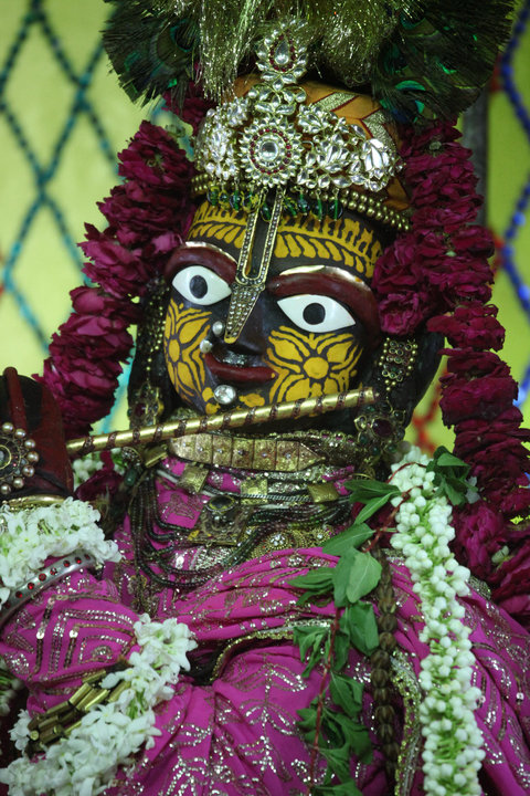 Radha Govinda Dev at Jaipur - An Overview : Krishna