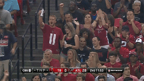 the other paper: Falcons fan celebrates first down by grabbing ...