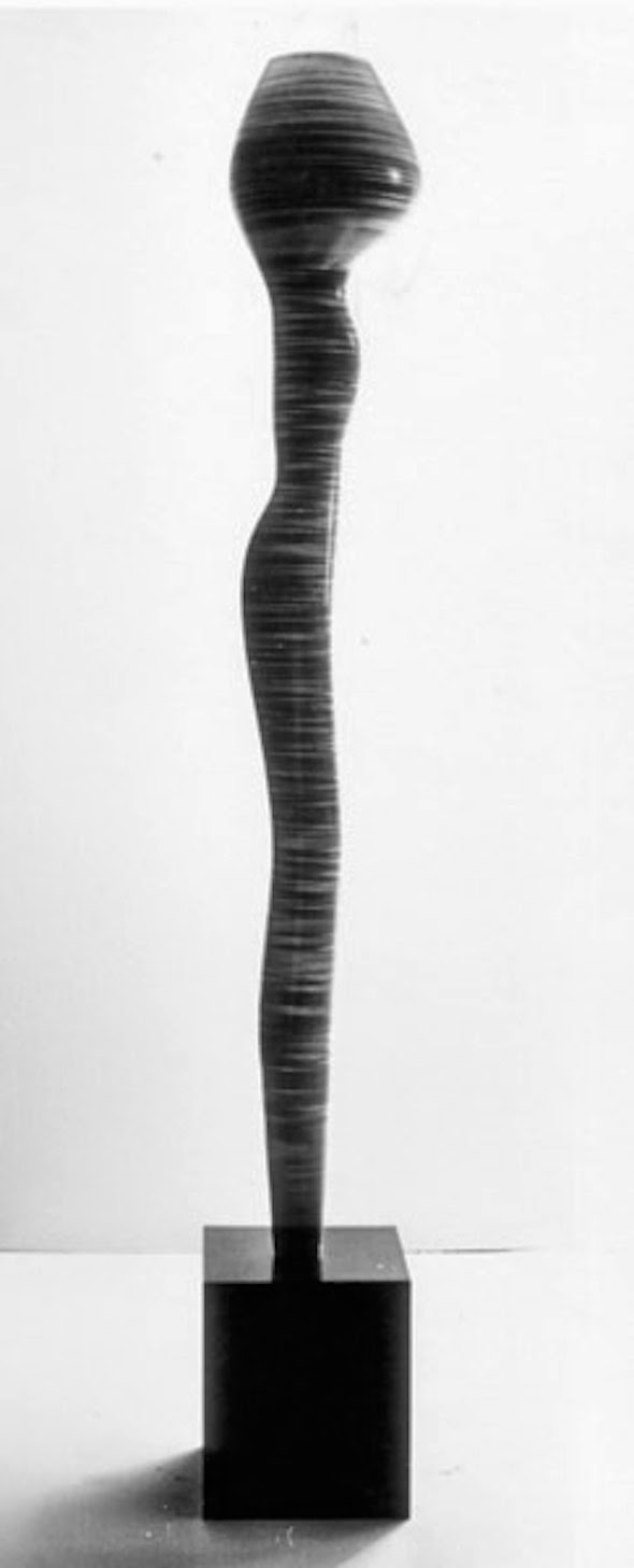 nazanin art: Computational Sculpture Former to 3D Print