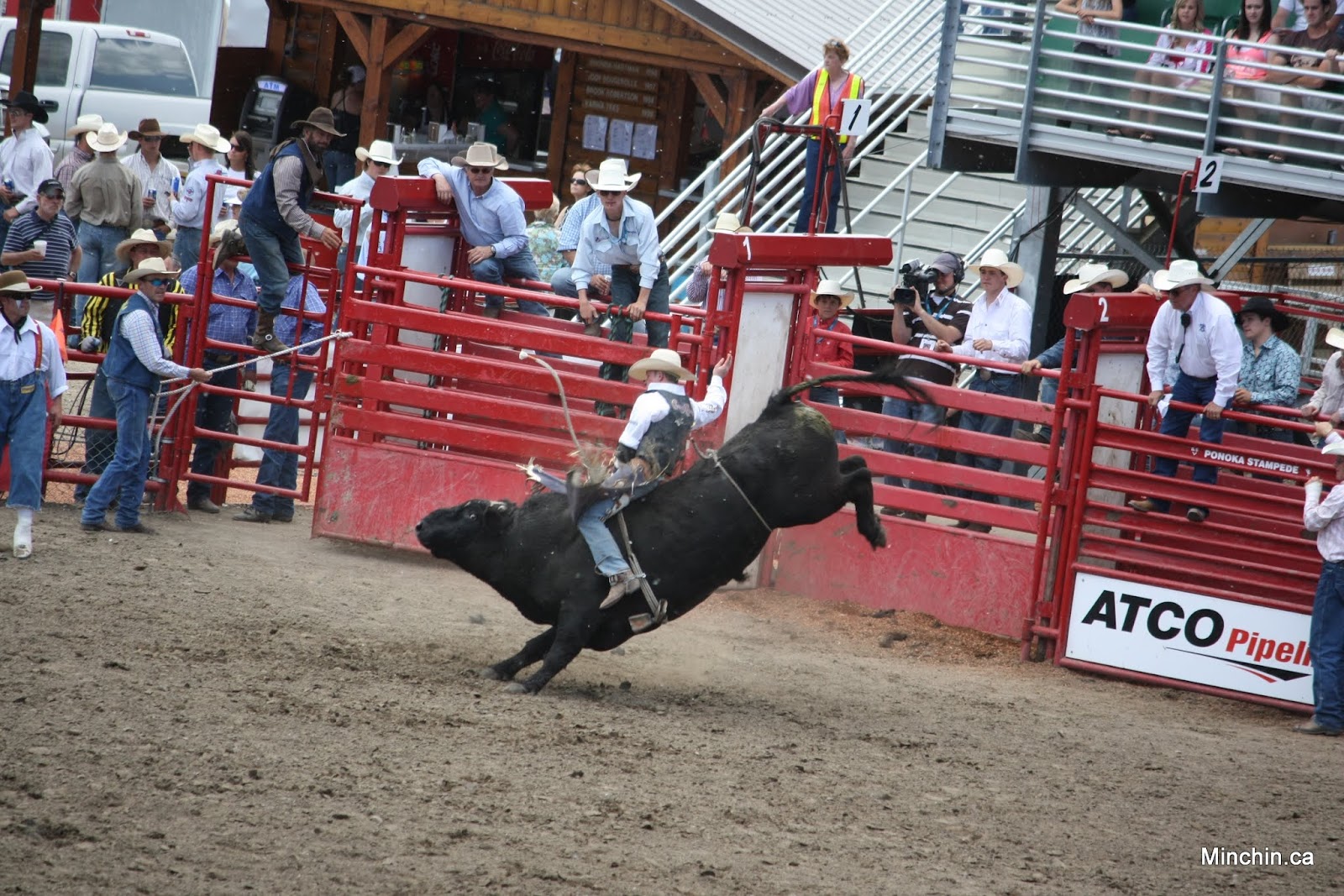 Minchin Web: Bull Riding - Photo 91 - Project 365