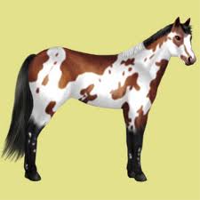 Completely Obsessed!: Howrse