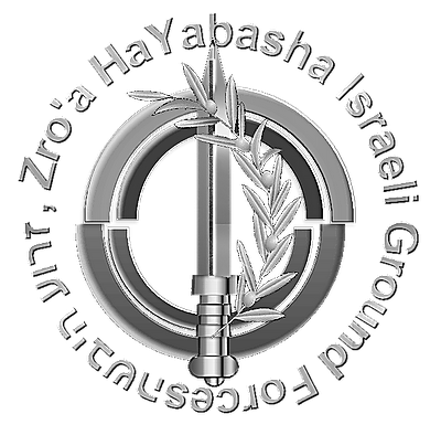 Israel Defense Forces,logo,badges and wallpaper 3D-HD: IDF Logo ...