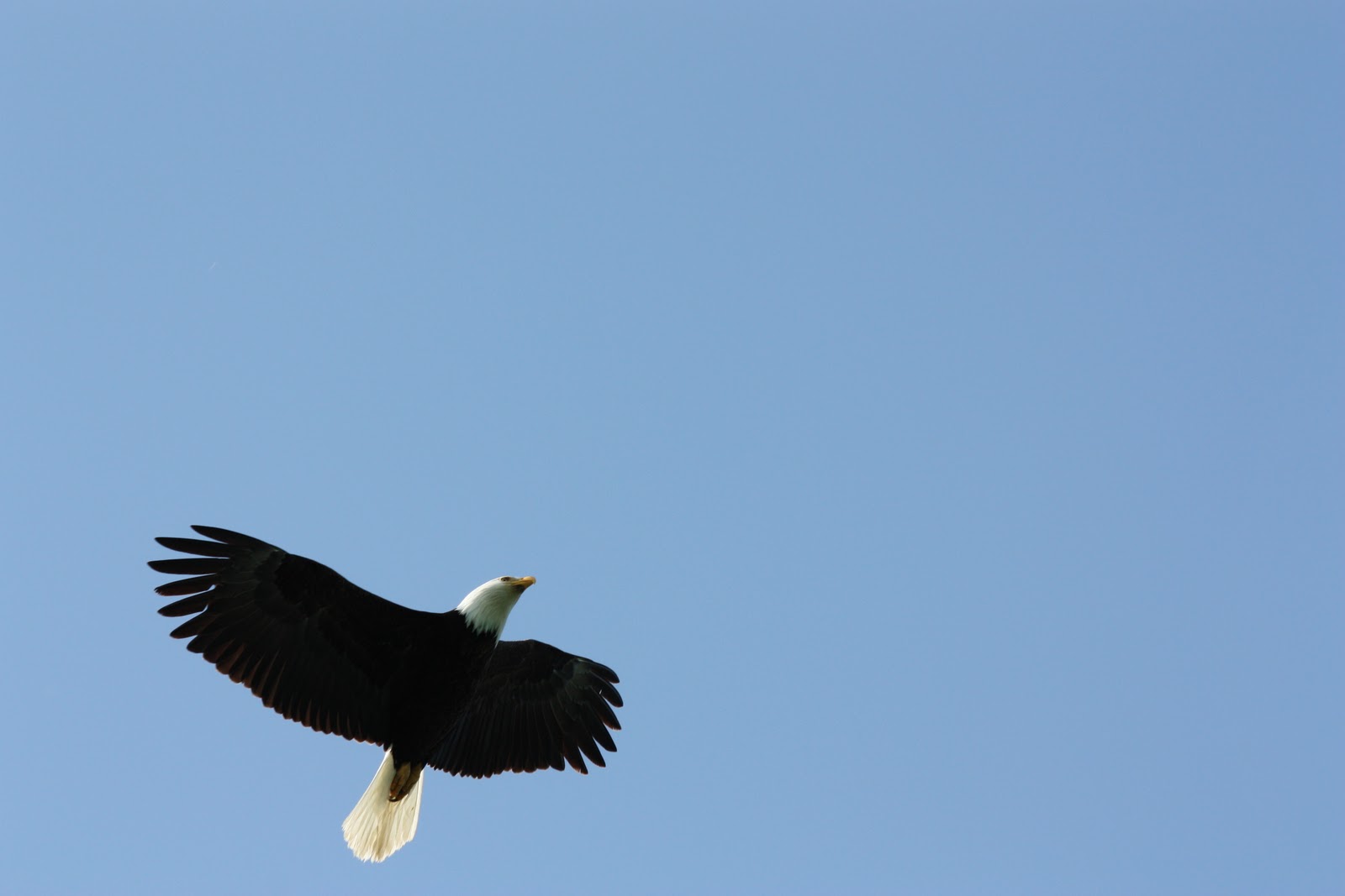 Robbie Chrisman: Photography in Alaska