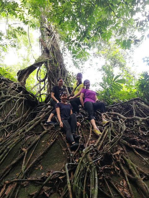 Gua Batu Maloi Caving Adventure- Overcoming Your Claustrophobia ...