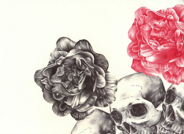 ILUSTRANDO: TÉCNICA. EL BOLÍGRAFO. ILUSTRADORES.