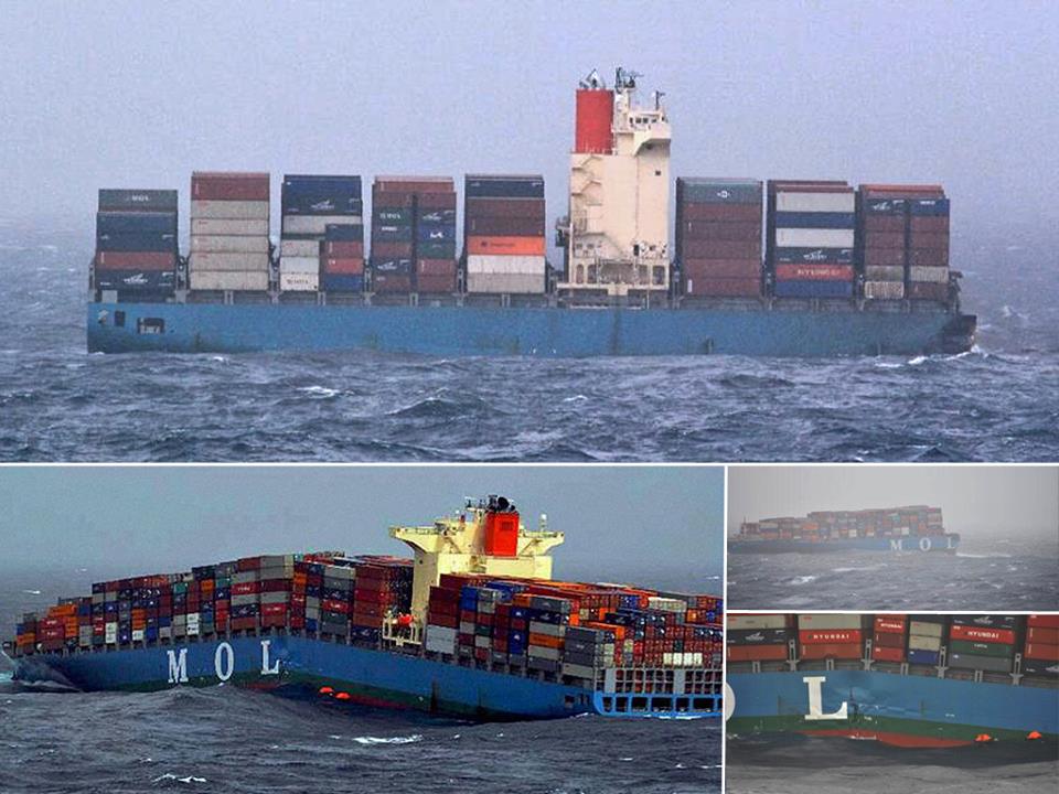 Images of MOL COMFORT - JapaneseClass.jp