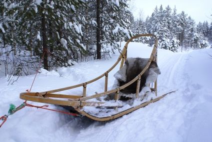 Native Americans: Arctic and Subarctic