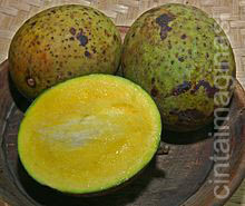 Tahukah Anda Khasiat Buah Bacang Atau Macang !!! - CiLiFES