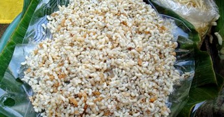 CARA TERNAK KROTO : BUDIDAYA bibit kroto semut rangrang hasil ternakan ...