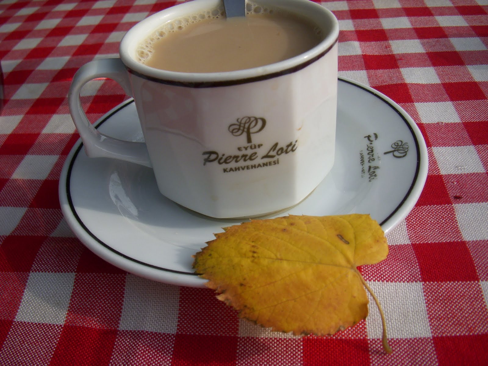 Bir Dut Masalı: PİERRE LOTİ TEPESİ / MAYIS 2012