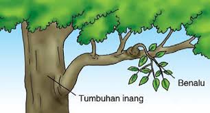 Ilmu Pengetahuan Alam