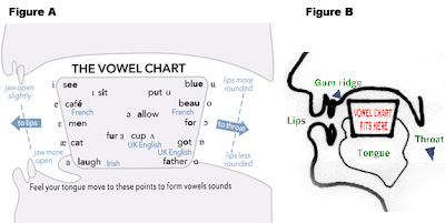 Lizz's EFL pronunciation teaching blog: Tools of the trade - IPA part 2.
