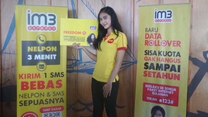 3 Cara Cek Kuota IM3 dengan Mudah, Benar dan Akurat