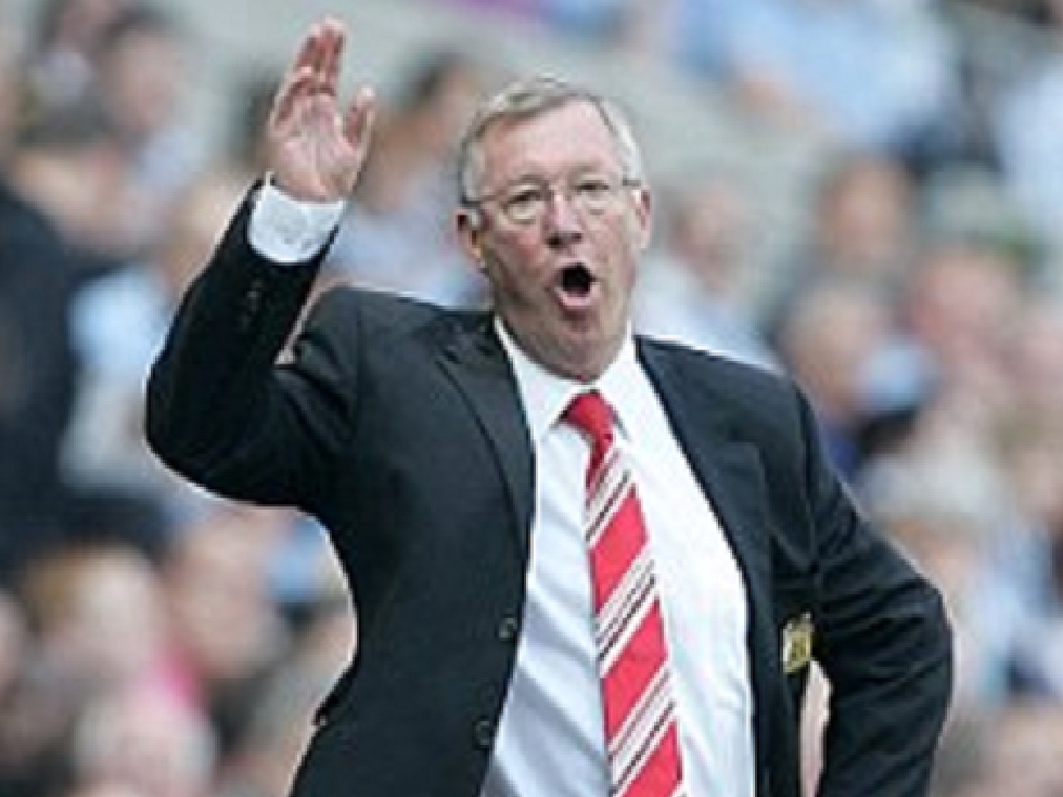 david 3816: Anger management