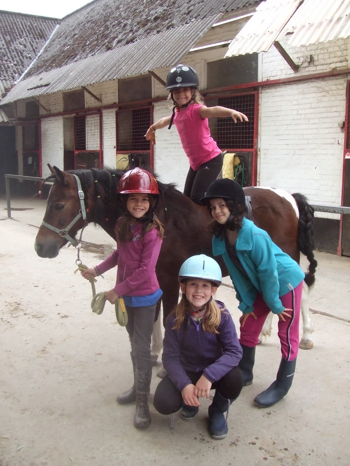 Paardrijkamp krokus - Manege Beggard
