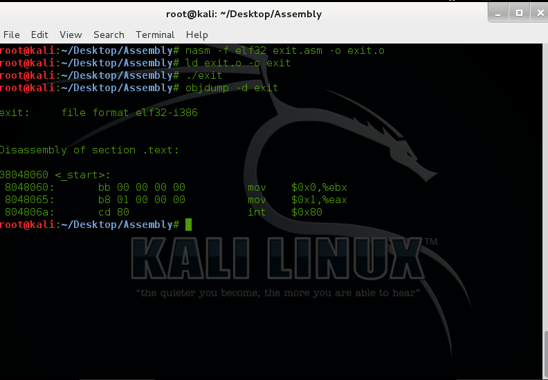 Assembly in Real world - Writing your own shellcode in Assembly ! | Programming : Ethical Hacker Way