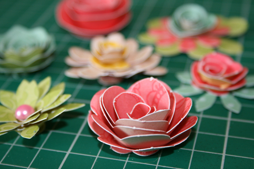 Roll Up, Roll Up!! - Hey Little Magpie