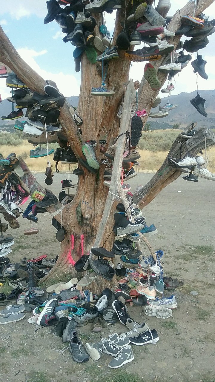 Entering His Rest: A Shoe Tree, Volcano, and Scenic Drive In California