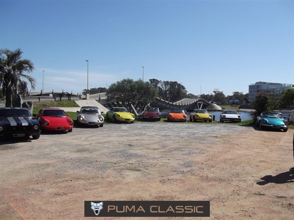 Puma Classic: De Puma a Punta (8)