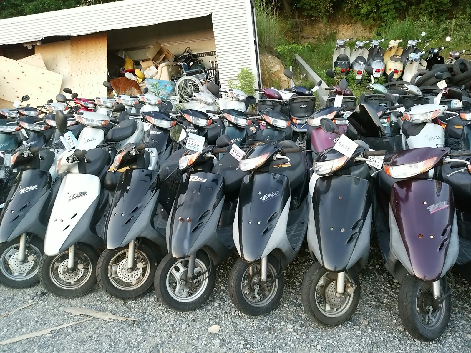 EXPORT NEW/USED JAPANESE MOTORCYCLES SCOOTER FROM OSAKA JAPAN / AZ ...