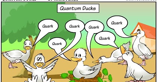 Cartoon Thursday - Quantum Ducks - An Engineer's Aspect