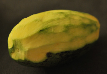 Une mangue verte, du sel et du piment - Made in Asie