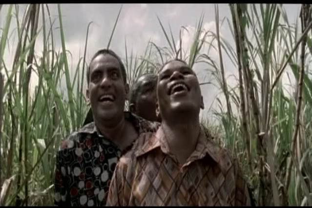 Perico Ripiao, carta de presentación del cine dominicano