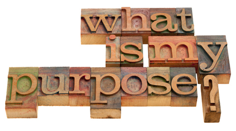 Defining Your Purposes