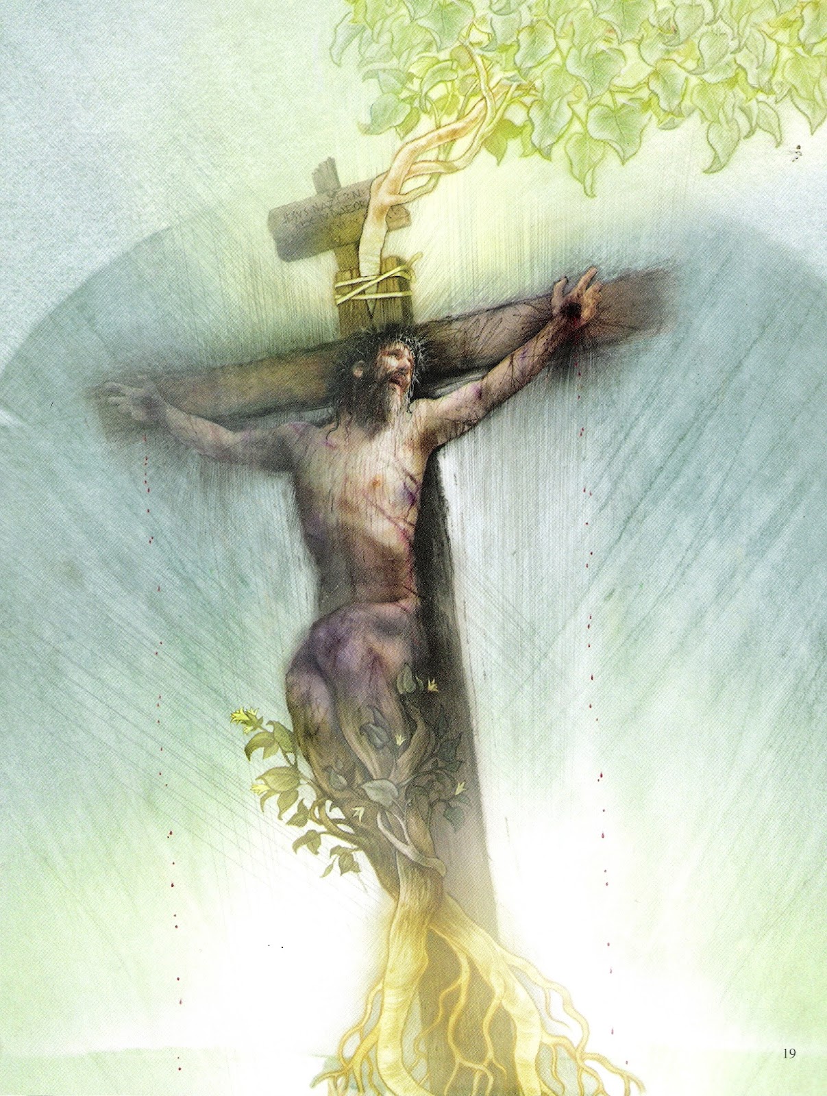 Igreja Luterana Renascer em Cristo - Acre