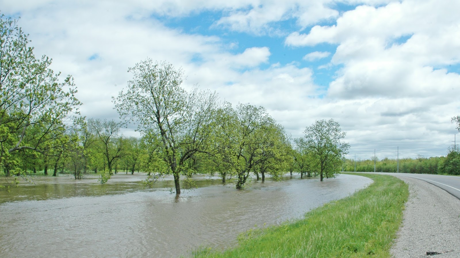 Northern Pecans: Spring flood on the Neosho
