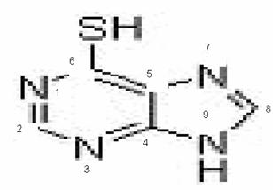 6-MERCAPTOPURINE