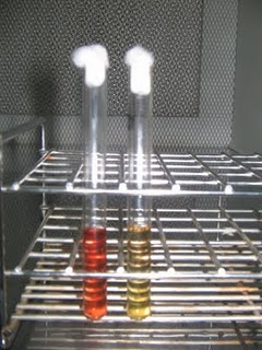 indah jayanti kumalasari: Uji Biokimia