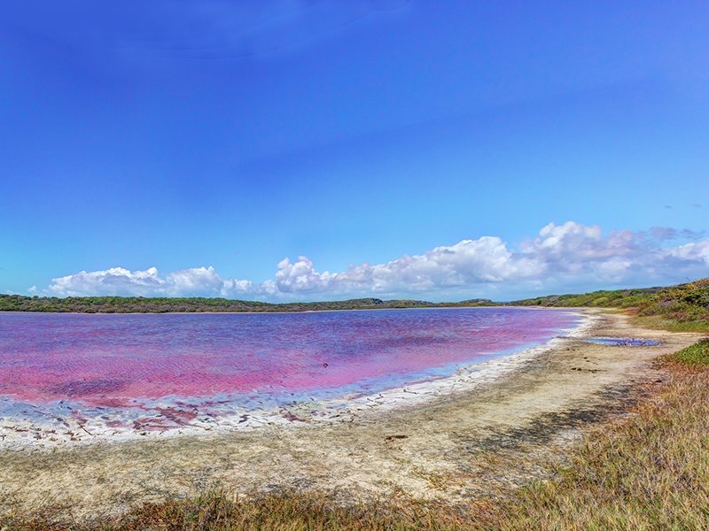 O famoso lago rosa - Revista Nós e outros Olhos