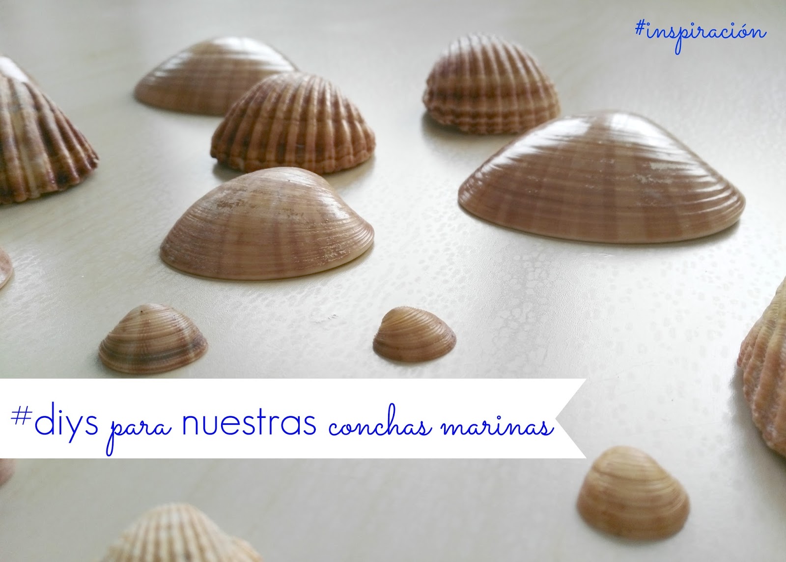 7 IDEAS DE INSPIRACIÓN DIY CON CONCHAS MARINAS: #DiarioDeco23 ...