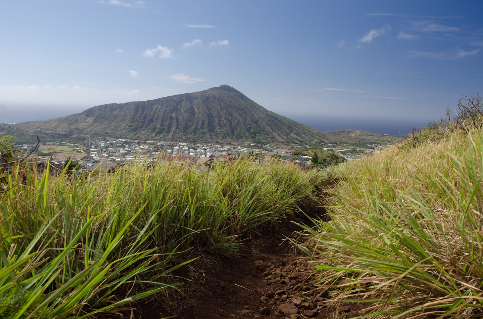 Haole Hiking: Mariner's Ridge:The Adventures of Staley the Dog