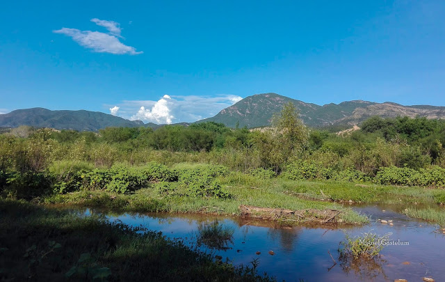 Naturaleza de Bamori Sonora.