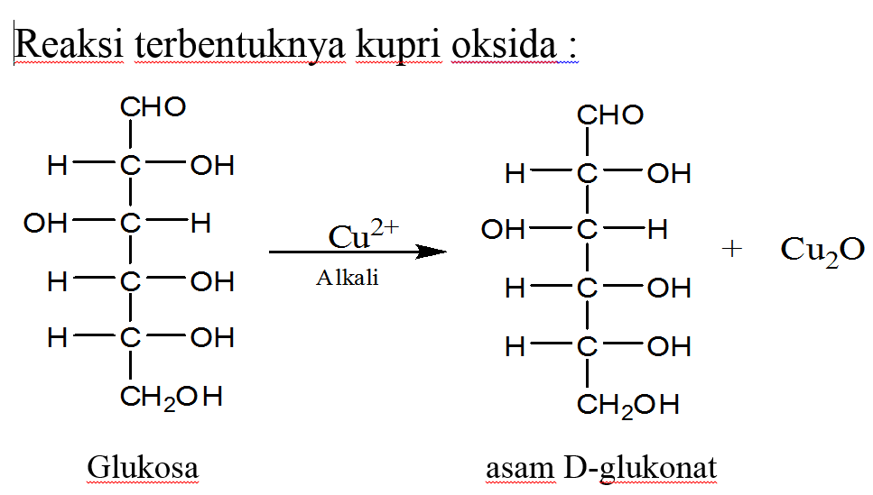 PERCOBAAN VIII - Aktivitas Spesifik Enzim α-Amilase ( Praktikum ...