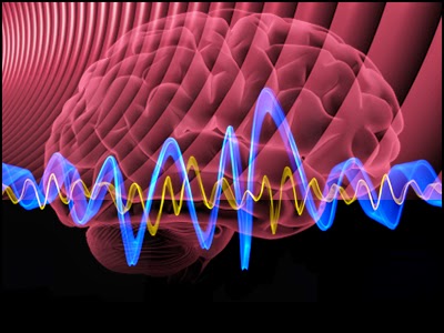 Understanding Brainwaves to Expand our Consciousness - DiscoverYourAura