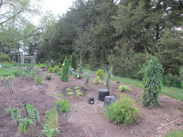Garden Fancy: My New Winter Border