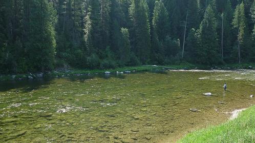 Walla² Fly Fishers: Fishing Kelly Creek, ID with Tyson Kopfer