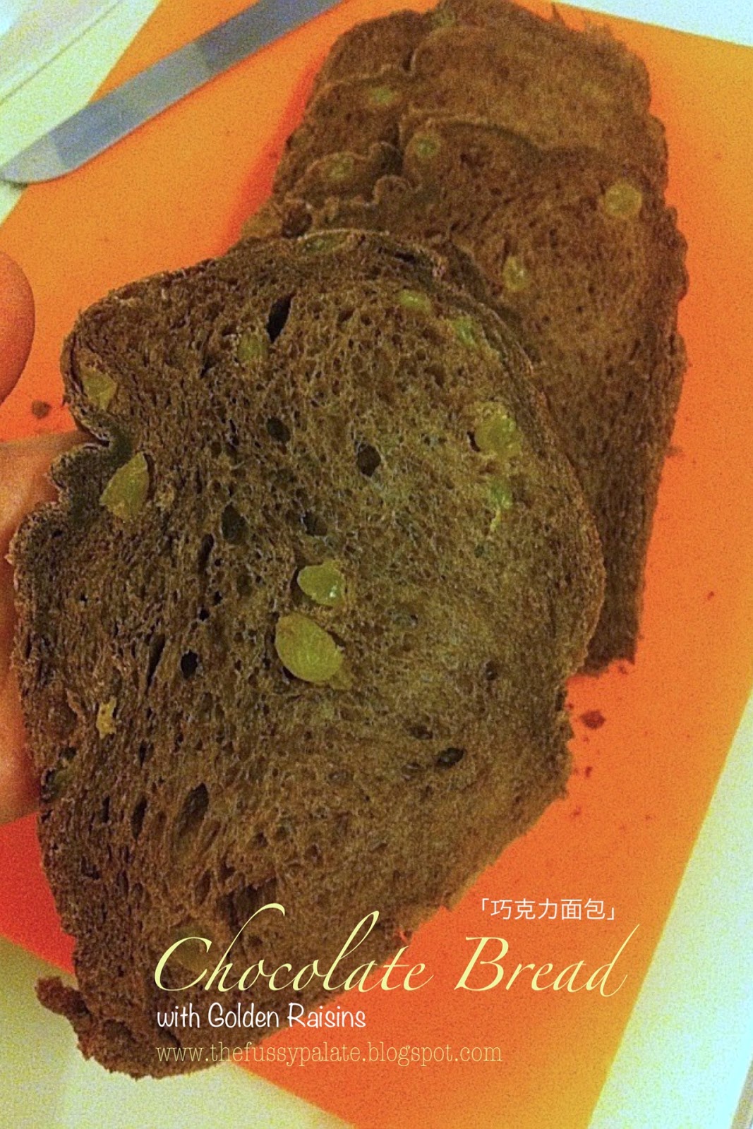 The Fussy Palate: Chocolate Bread with Golden Raisins