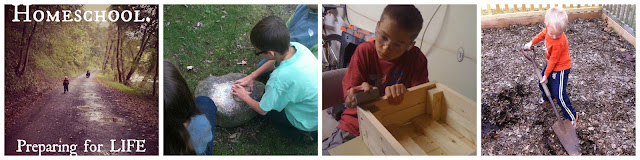 Lessons From Thomas Edison- A Homeschool Success Story – Simply Living ...