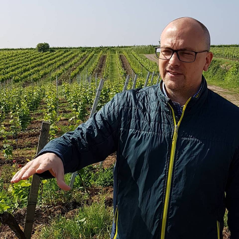 schiller-wine: Impressive Vineyard Tour and Tasting at Weingut ...