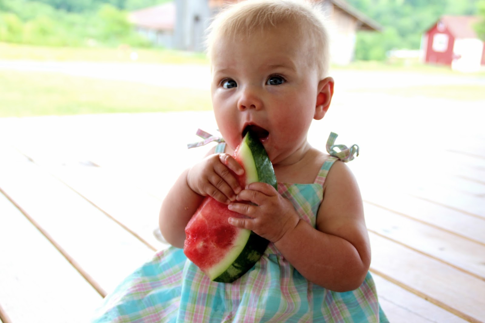 Renaissance: Watermelon Baby