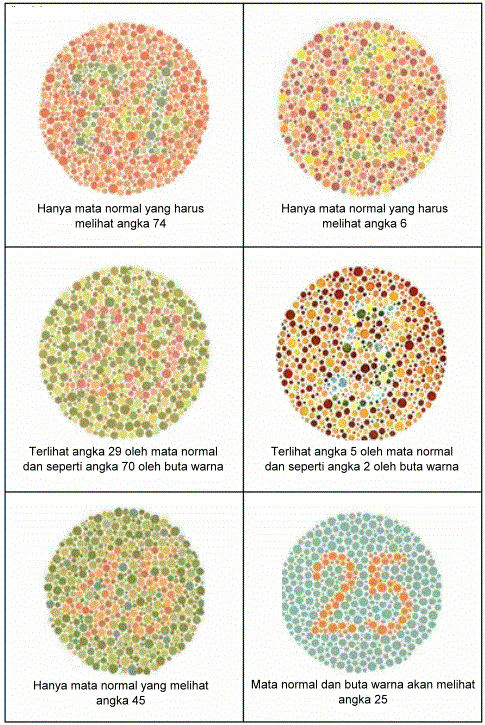 Contoh Tes Buta Warna | Kolektor Prosedur