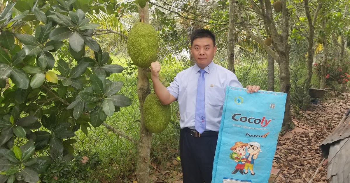 cocoly granular water soluble fertilizer : Cocoly fertilizer promoted ...