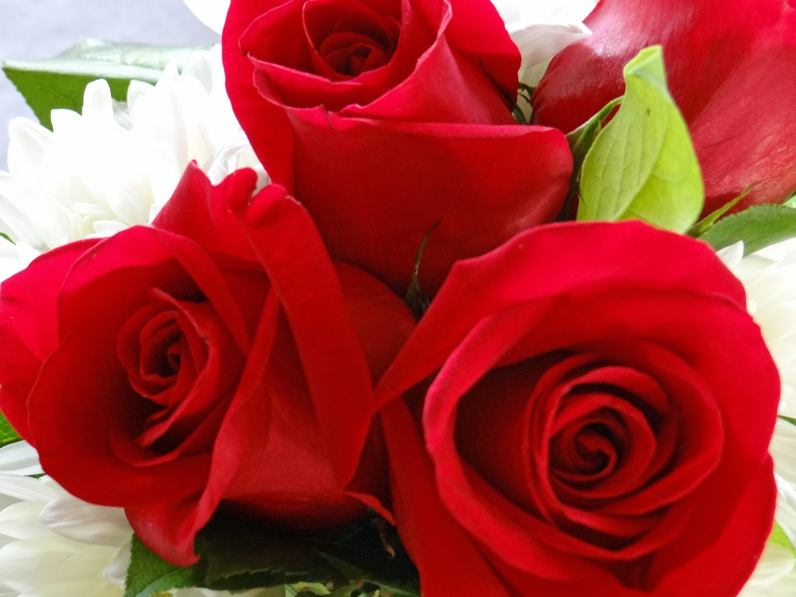 Lenora's Legacy Estate: Kayla and Brad Ruppe's Red and Silver September ...